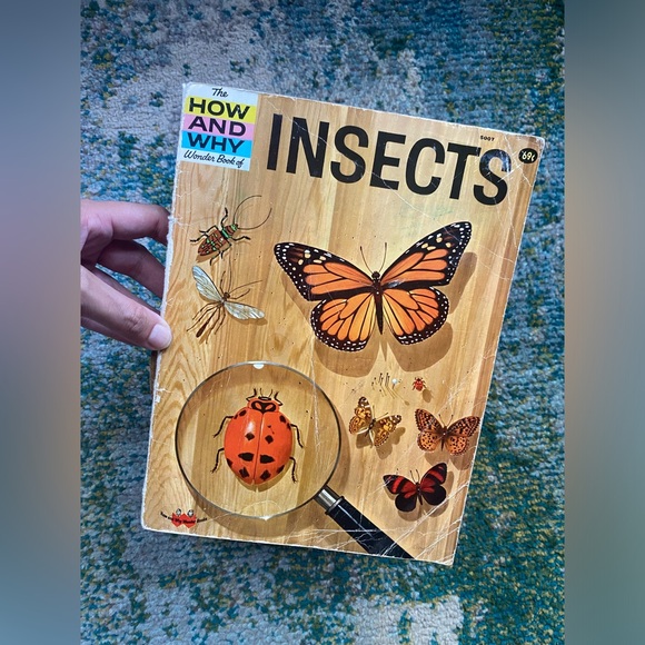 Vintage | Other | Vintage 7s The How And Why Insects Kids Paper Back ...
